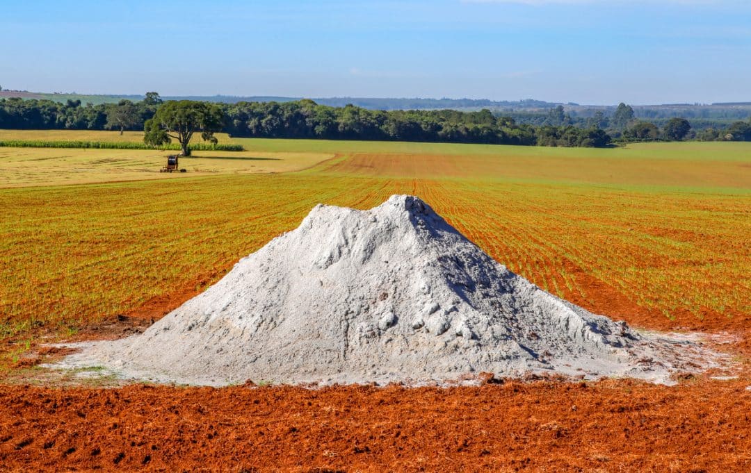 Entenda a diferença entre calagem e gessagem - MF Magazine