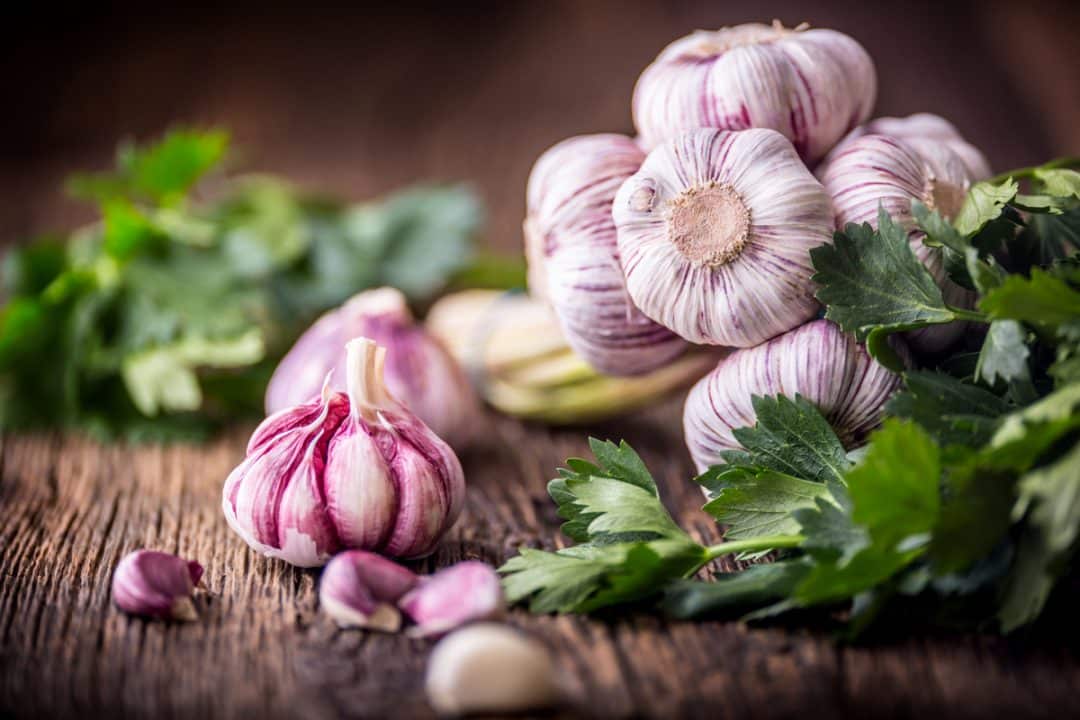 Saiba mais sobre a produção de alho no Brasil - MF Magazine