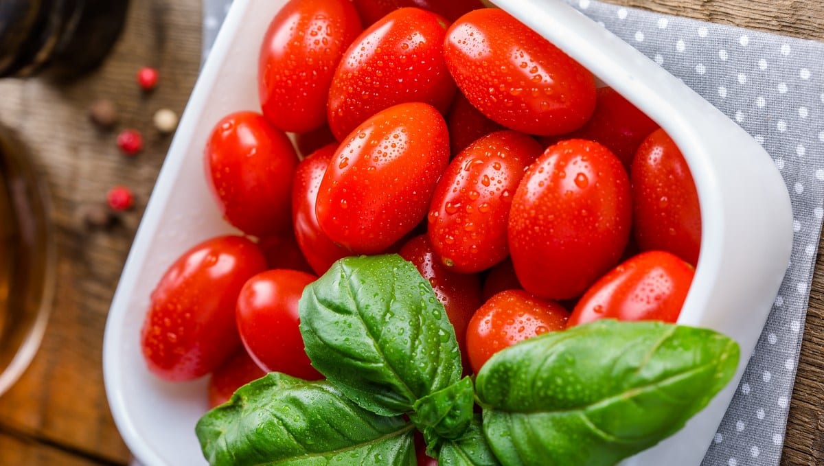 Tomate sweet grape: conheça mais sobre essa hortaliça - MF Magazine