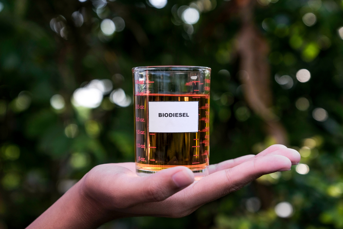 Biodiesel: o que é, como produz e utilização no Brasil - MF Magazine