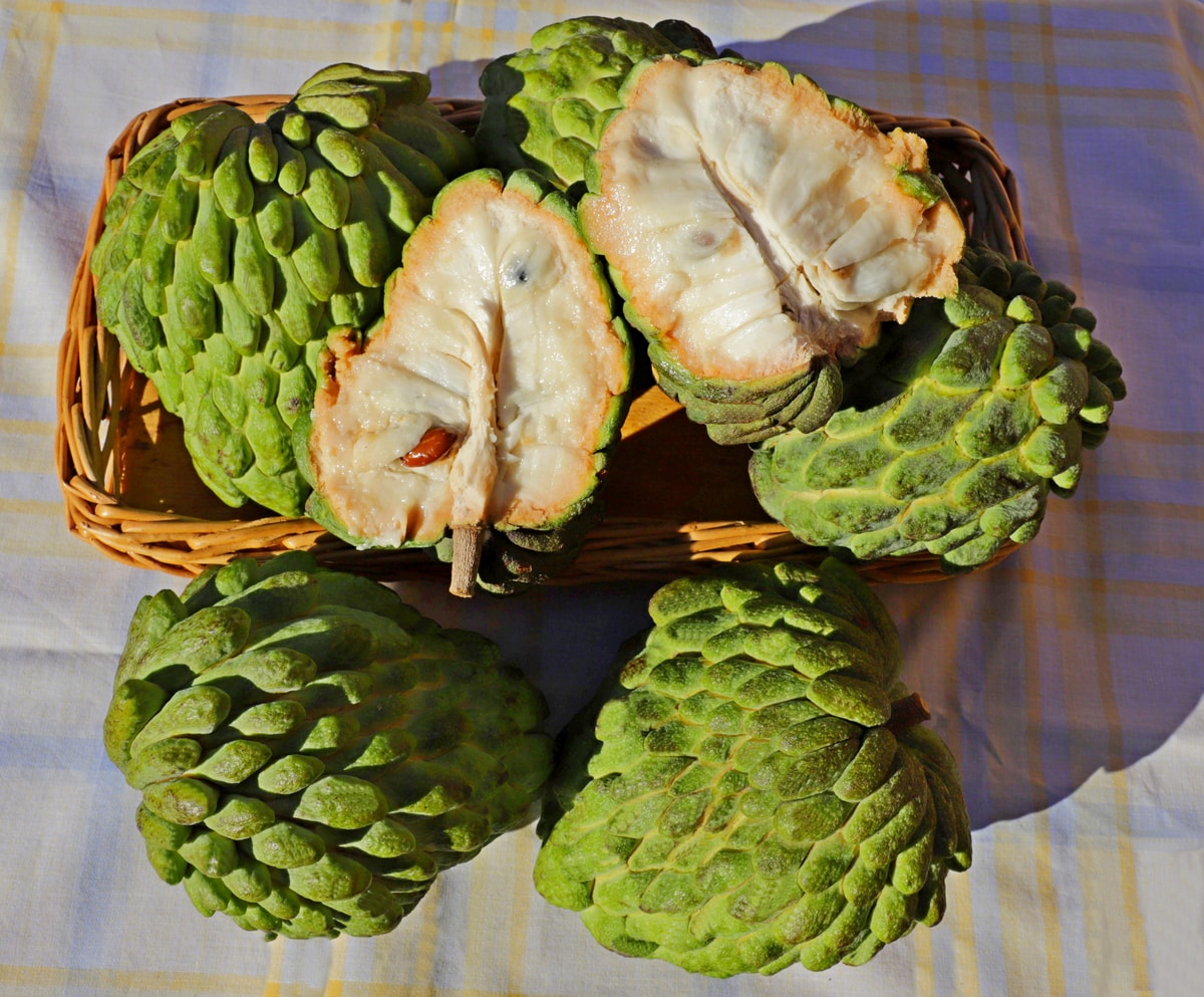 Atemoia: conheça essa fruta