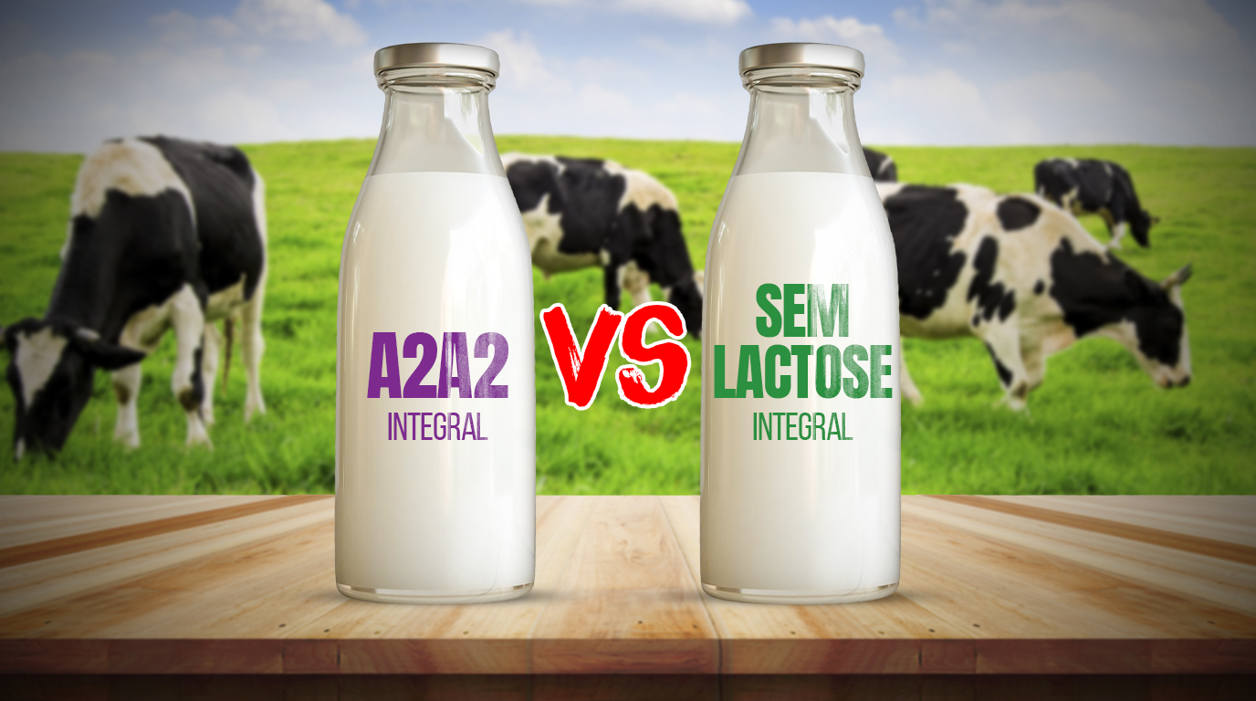 Leite A2A2 e leite sem lactose: entenda a diferença