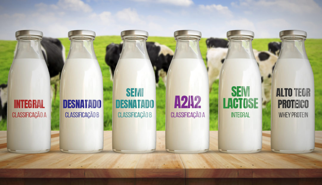 Leite A2A2 e leite sem lactose: entenda a diferença